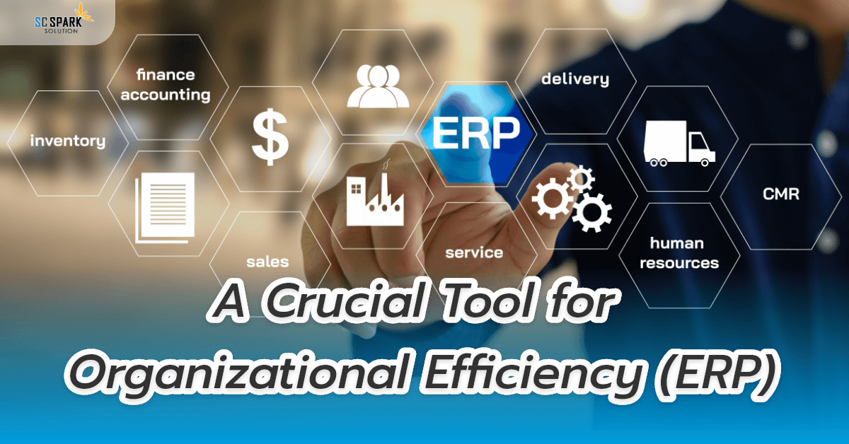 A Crucial Tool for Organizational Efficiency (ERP) | รับทำ ERP เฉพาะทาง ...